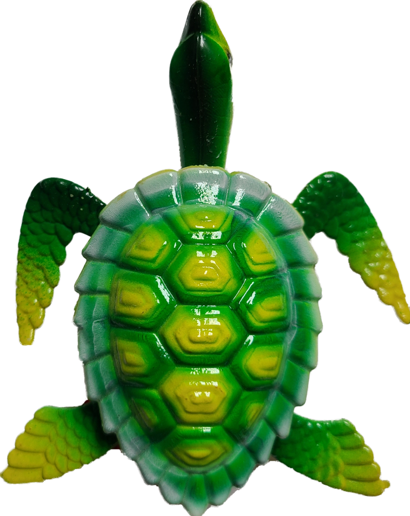 Wiggle Turtle Magnet - Island Style Florida