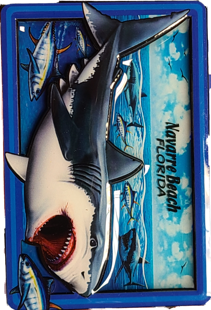 Shark Relief Magnet - Island Style Florida