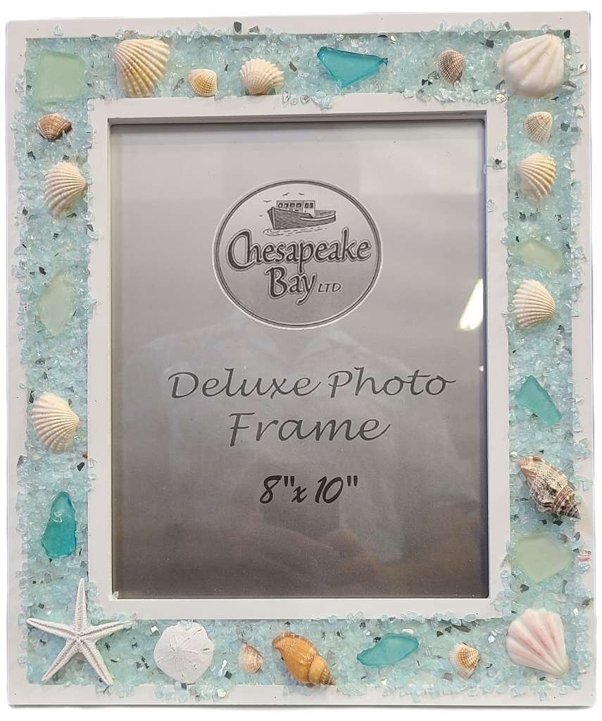 Frame with Seashells - Island Style Florida